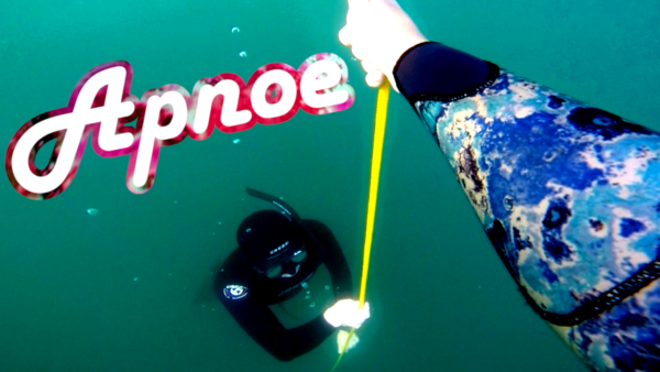 Apnea diving - Freediving training - equipment - harpune.info