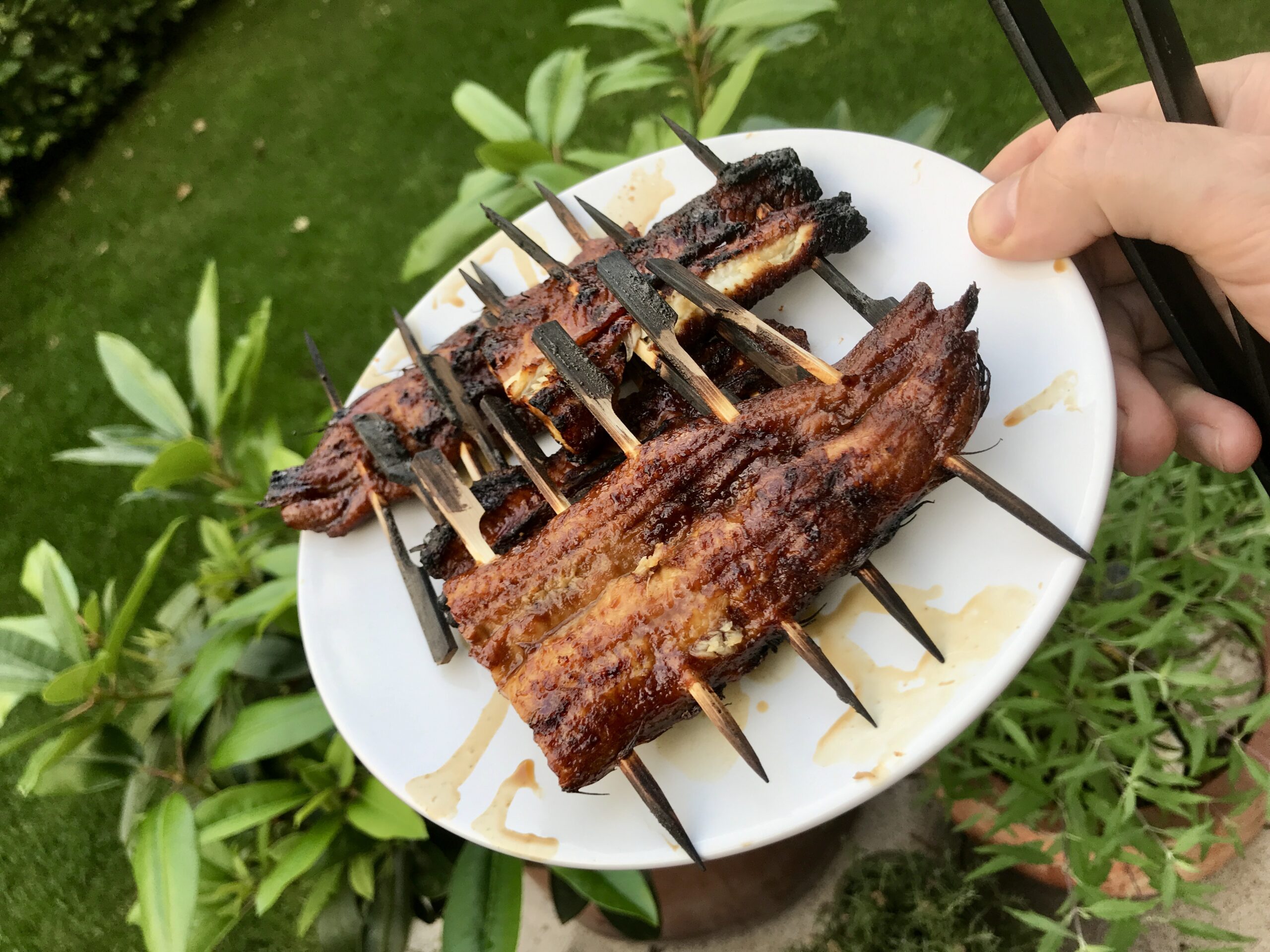 Grilled Eel - Unagi Kabayaki - Recipe - harpune.info
