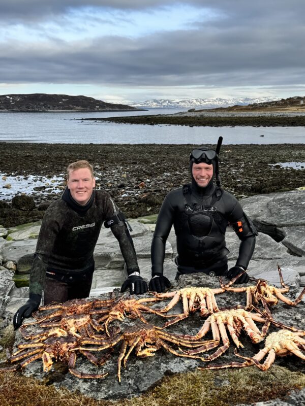 King Crab Norway – All about the Red King Crab, Recipe & How to Catch
